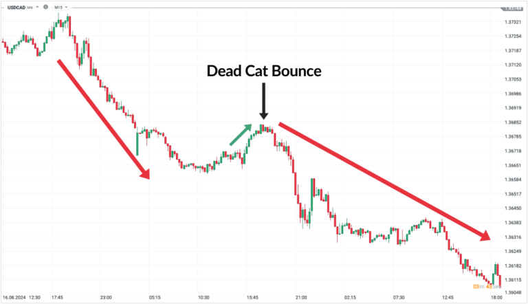 Was ist ein Dead Cat Bounce? Definition & Trading-Strategien