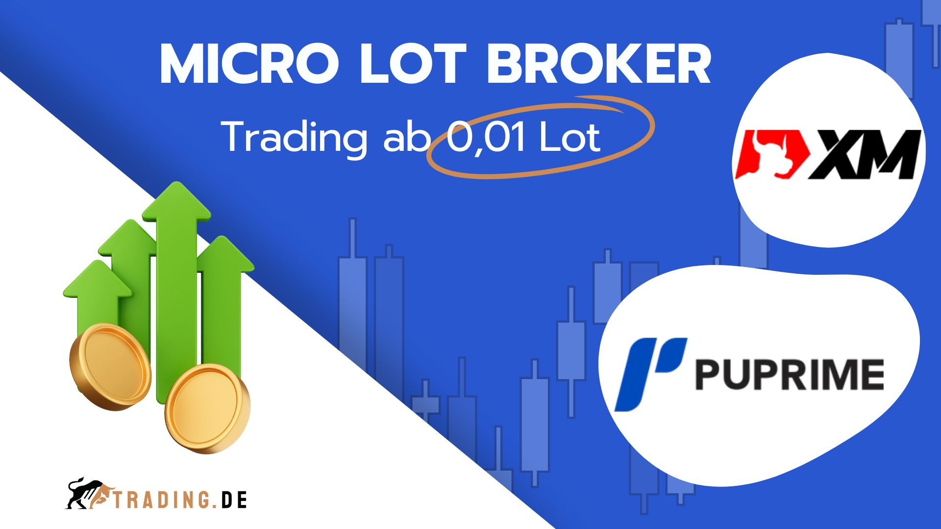 Bester Broker mit Micro Lots Konten - Vergleich & Test