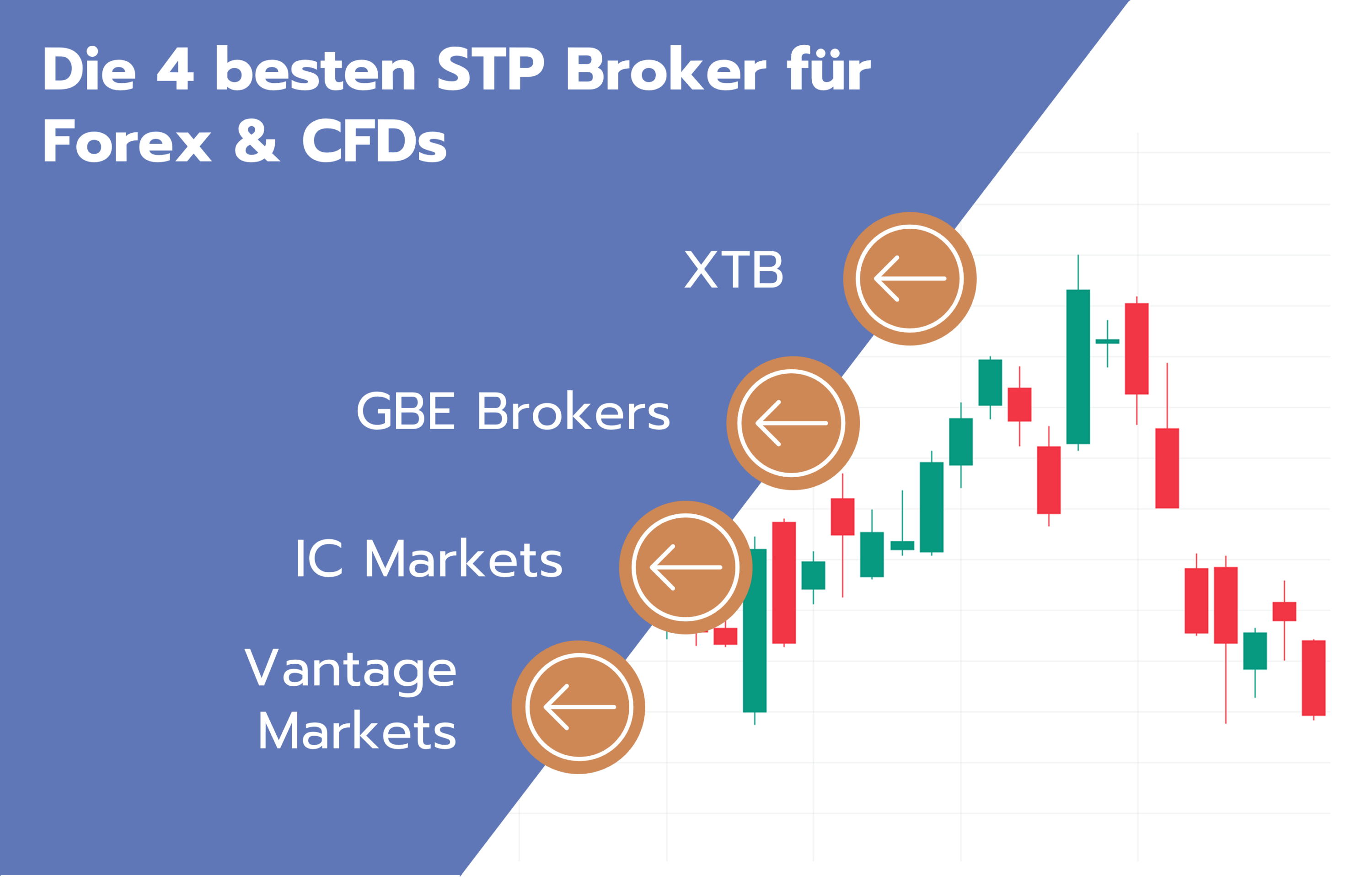 4 besten STP Broker im Vergleich & Test 2024 | Trading.de