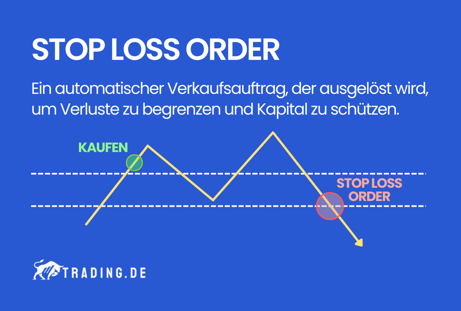 Stop Loss Order (SL) im Trading erklärt: Richtig Setzen